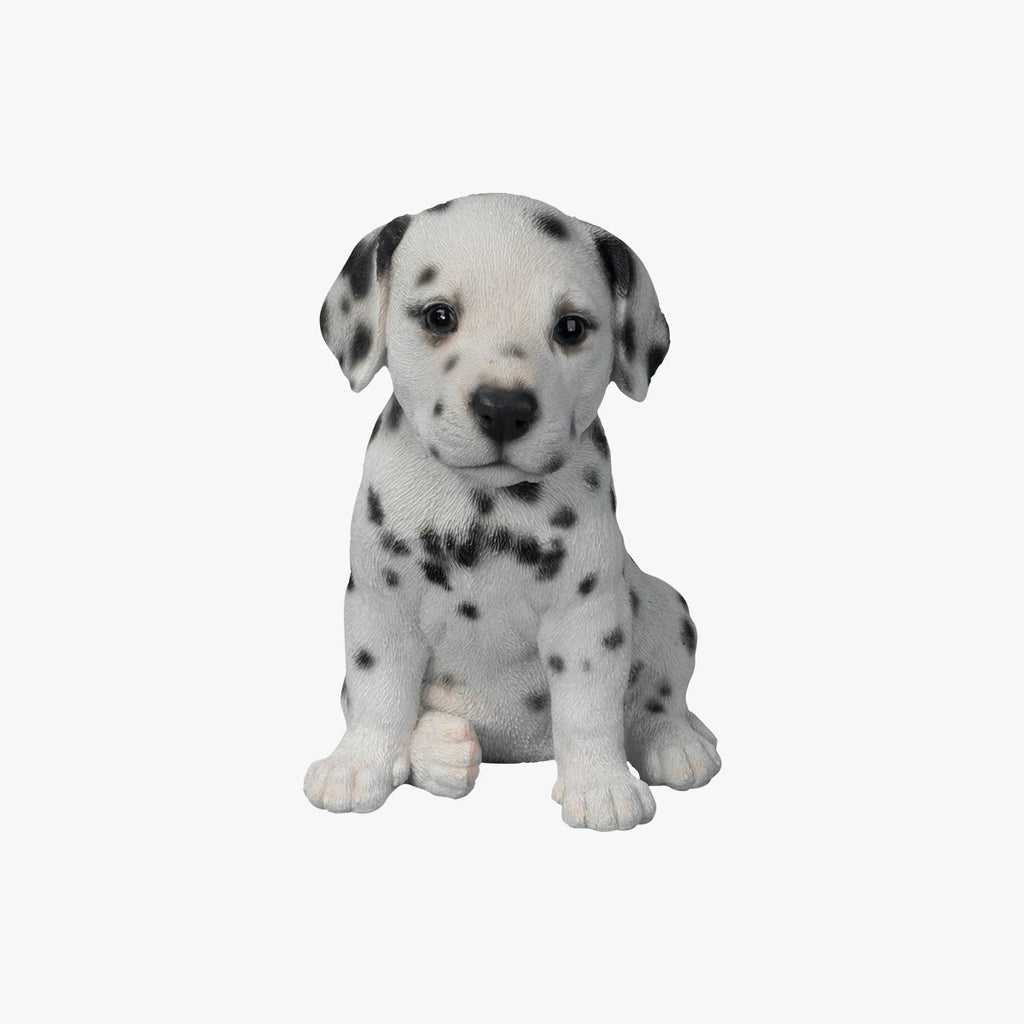 Dummy text for title – 99fy Pets